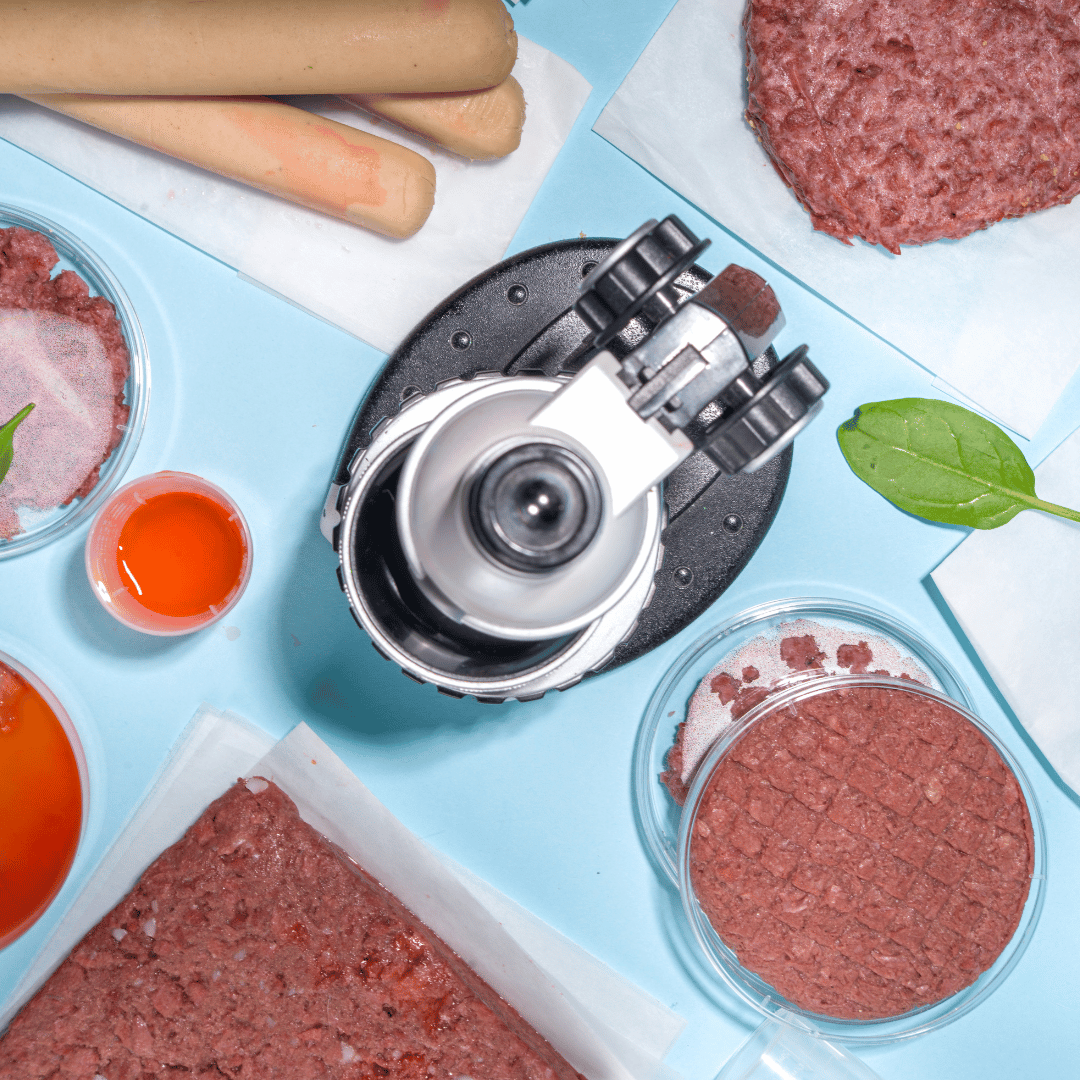 Revolutionizing the Food Industry: The Rise of Lab Grown Meat