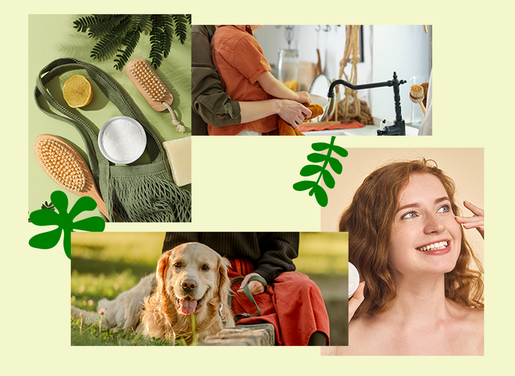 Sustai Market | Your Trusted Source for Safer, Eco-Friendly Products